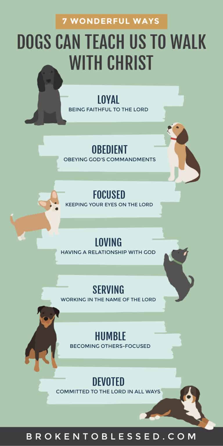 7 Wonderful Ways Dogs Can Teach Us to Walk with Christ